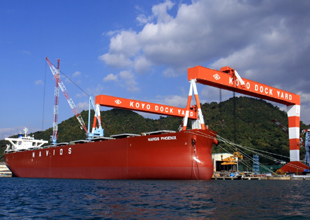 Navios Holding filosuna iki yeni gemi kattı