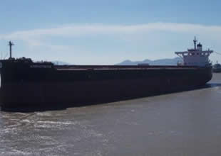 Diana Shipping M/V Amphitrite teslim aldı