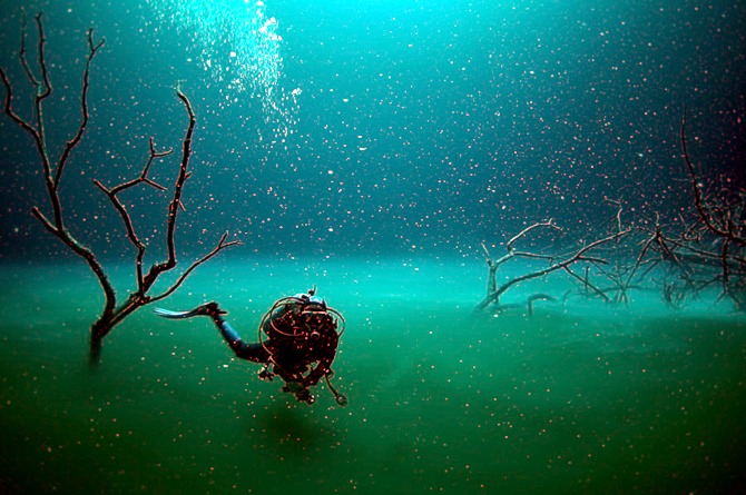 Okyanusun altında akan nehir büyülüyor